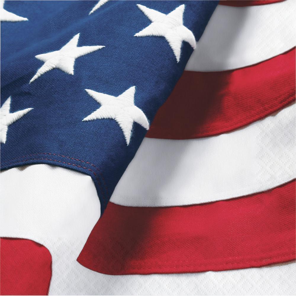 4th of July Decorations: Celebrate America's Independence with ...